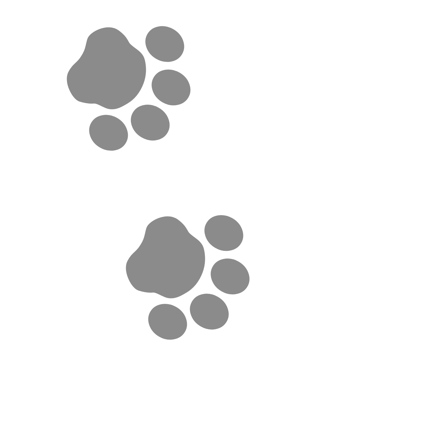Hellig Birma - Alt om den hellige kat fra Burma | Kattesiden.dk